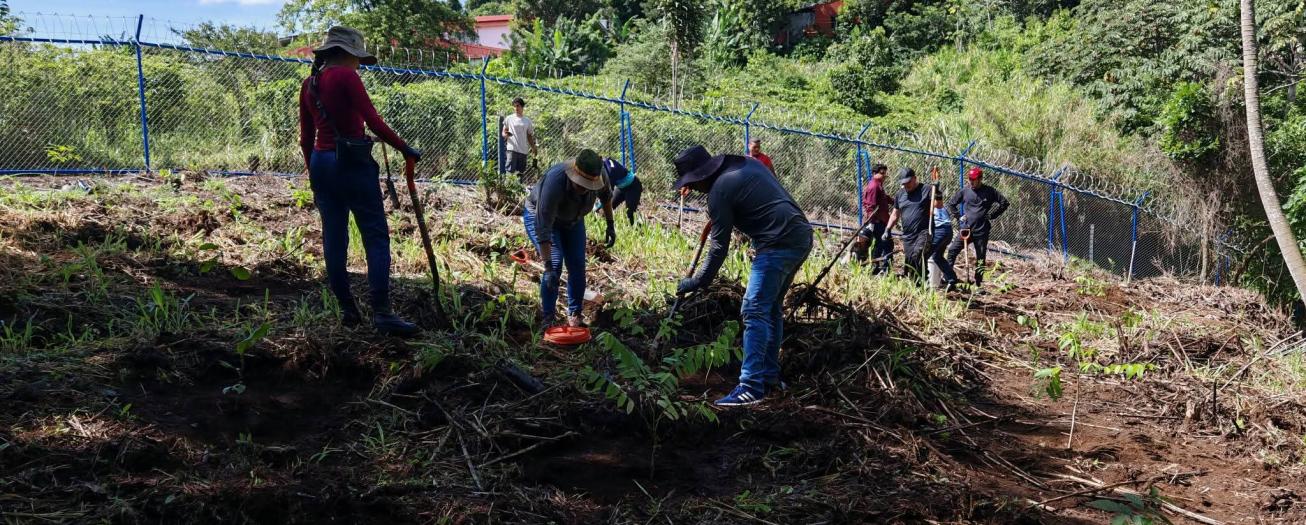 Jornada de Limpieza y Reforestación en Patal | Periódico Mi Tierra